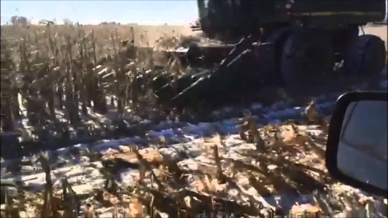 15 inch row corn with a Capello 830 - YouTube