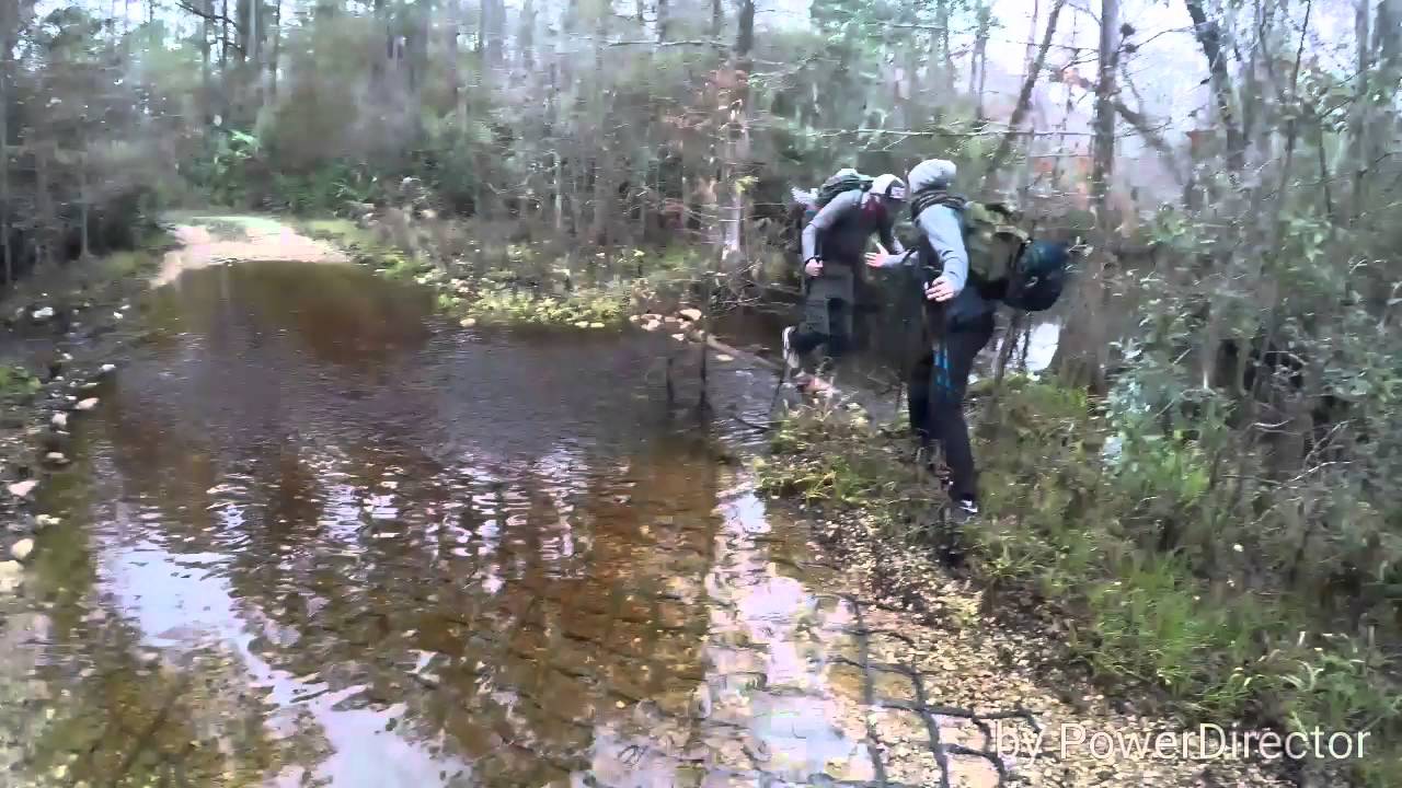 Goethe State park Florida - YouTube