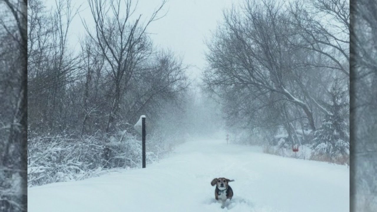Viewers Send Us Their Great Weather Pics From Monday’s Snow - YouTube