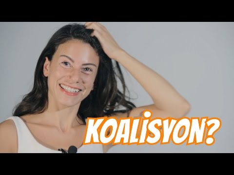 Koalisyon Nedir?