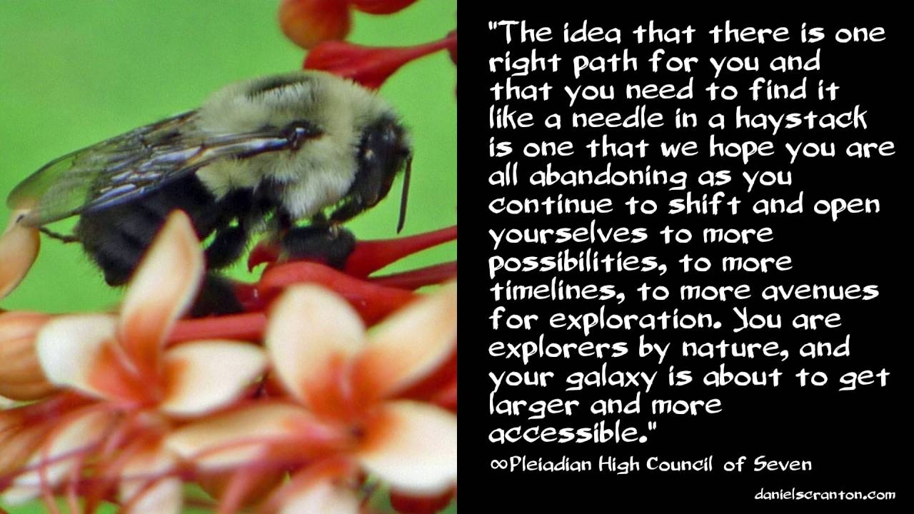 For Those Who Lack Direction ∞The Pleiadian High Council of Seven ...