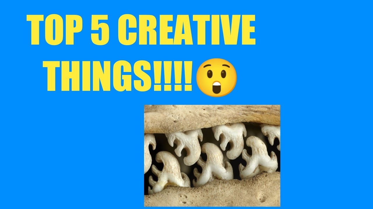 Top 5 Creative Things - YouTube