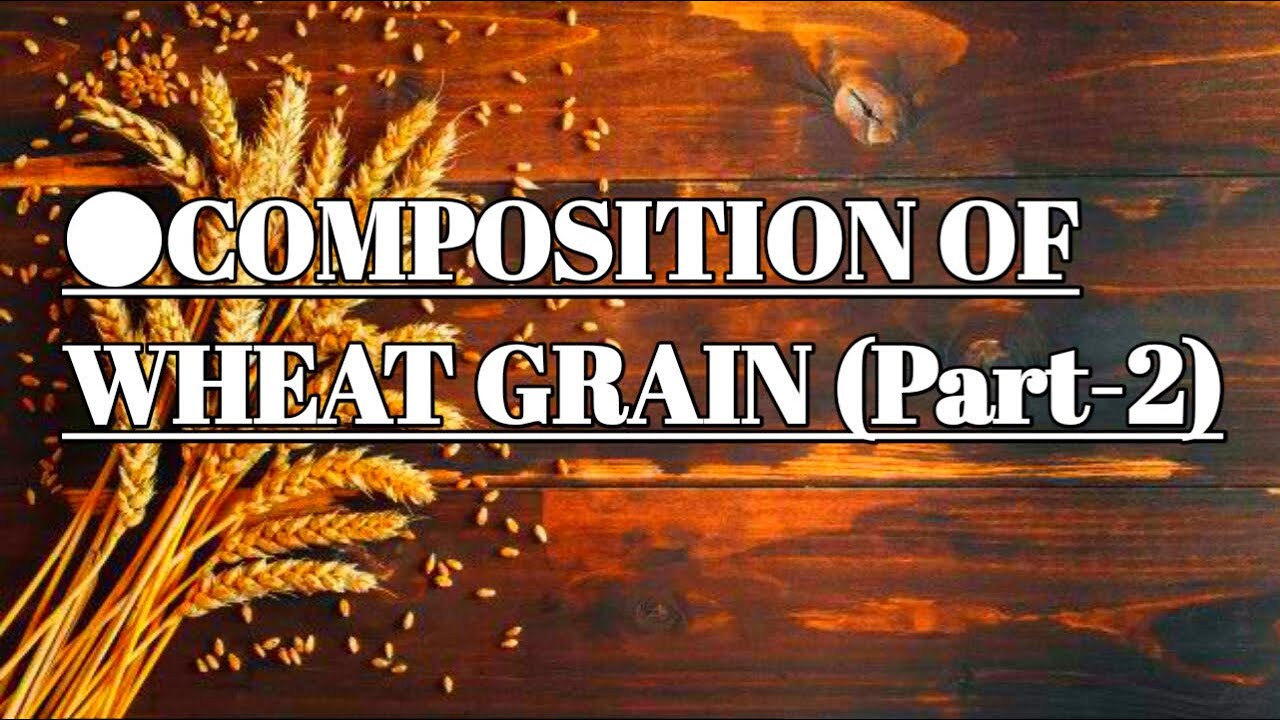 COMPOSITION OF WHEAT GRAIN. ASRB FOOD TECH NET PREPARATION ( SYLLABUS ...