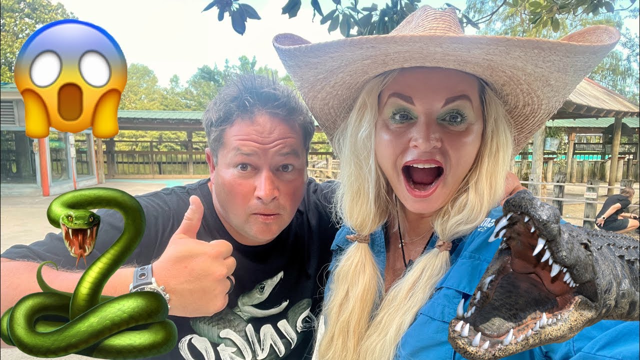 Feeding Dingo to the Alligators - YouTube