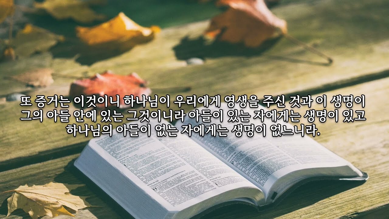 Daily Bible Recitation - YouTube