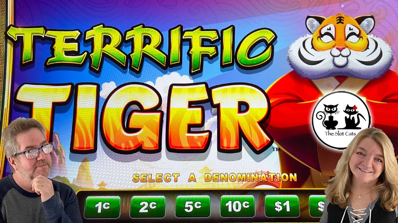 NEW GAME - COIN COMBO TERRIFIC TIGER! 3X MULTIPLIERS - YouTube