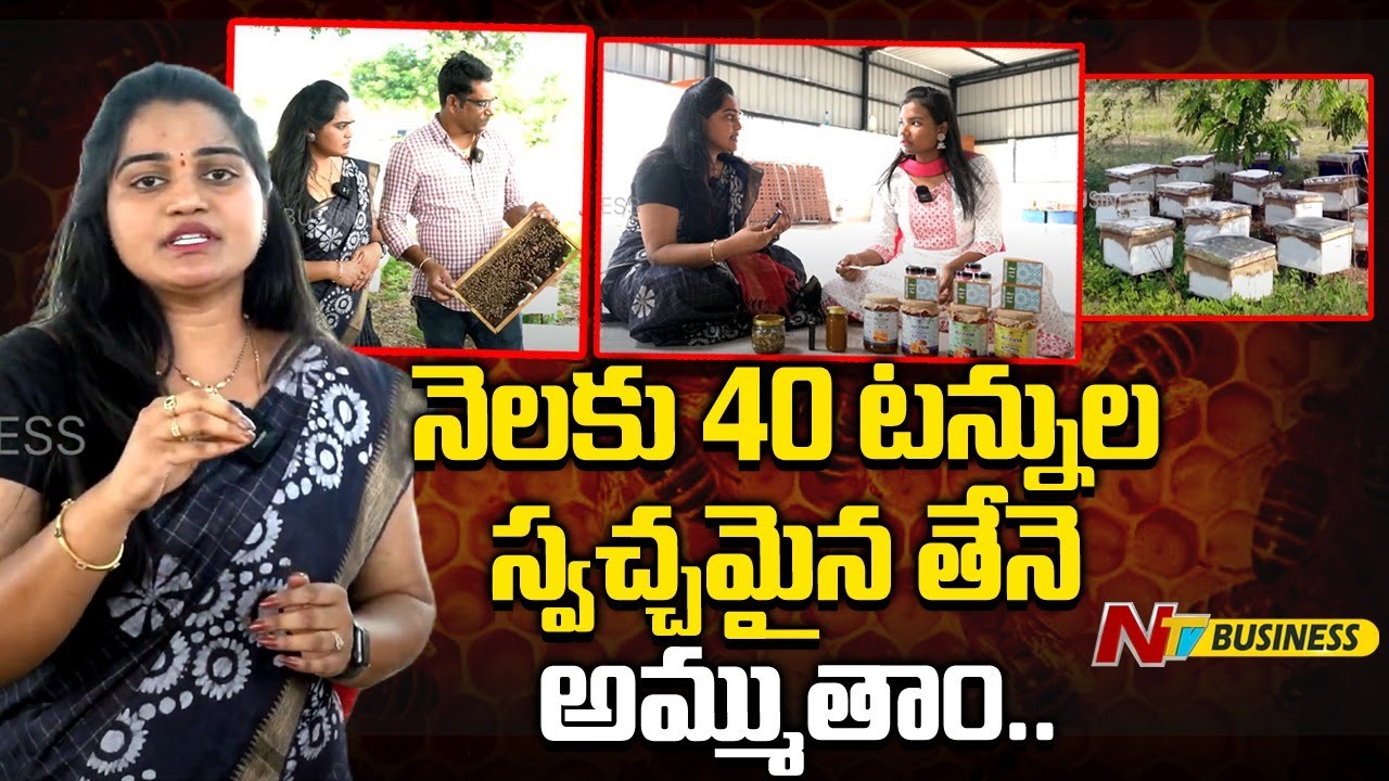 BEE Fresh : We Sell 40 tons of pure Honey per month | Ntv Business ...