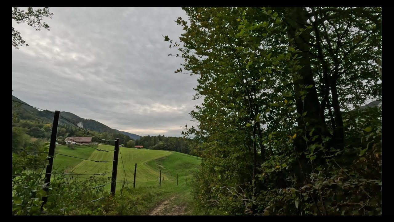 The Echoing Green by William Blake, a reading - YouTube