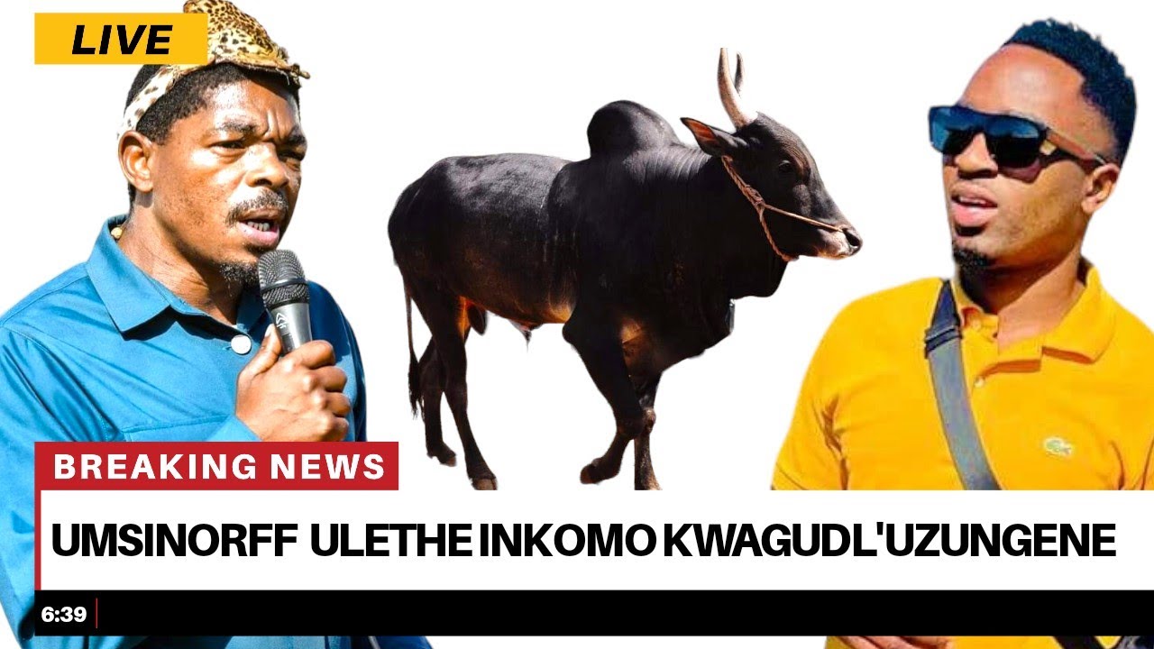 USMINOFF ugcine eseyihambisile inkomo kwagudl'Uzungene Dr3 second - YouTube