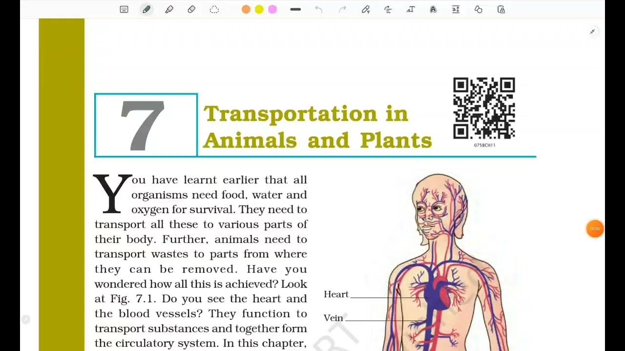 Class7 Science Chapter 7 Transportation in Animals and Plants Full Chapter detailed explanation ...
