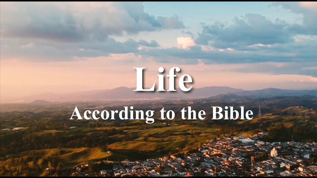 Life According to the Bible | 4K HD Scenic View - YouTube