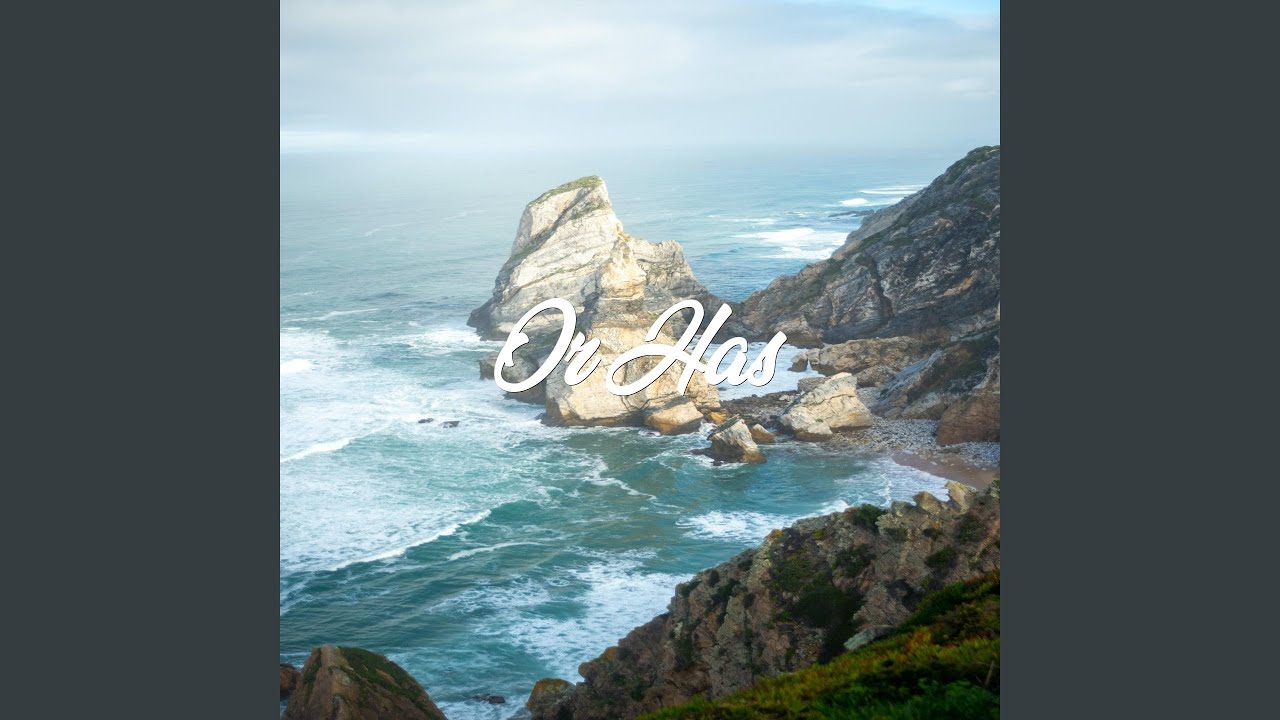 Nature Life The In Deep Birds With Oouueezzzzz - YouTube