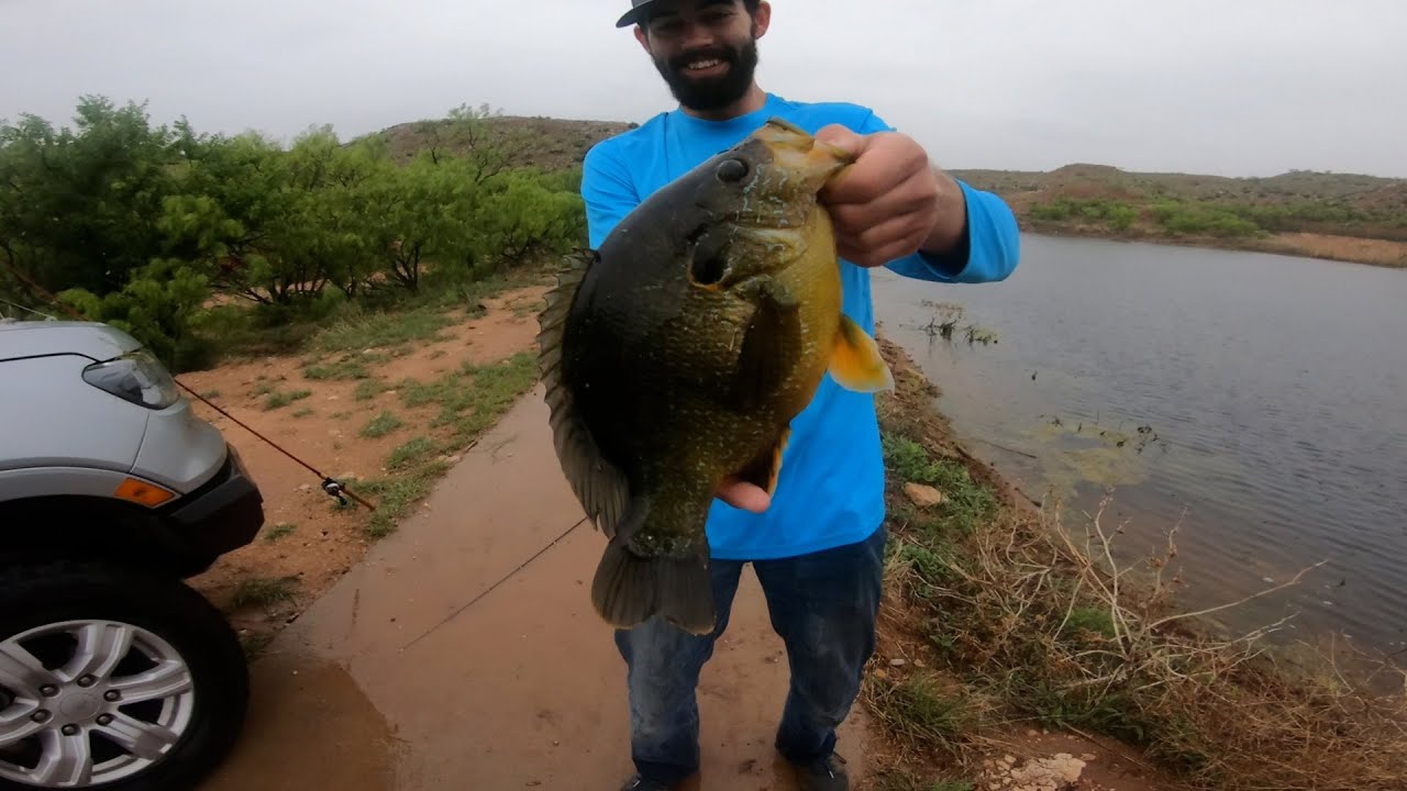 WE DOUBLED THE GREEN SUNFISH TEXAS STATE RECORD! - YouTube