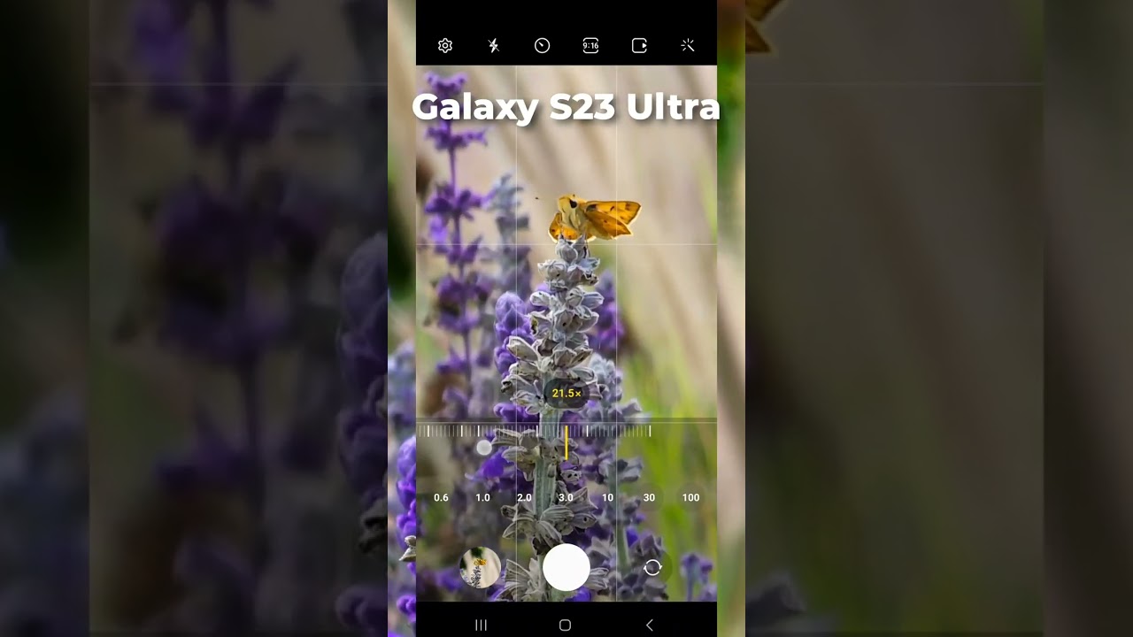 iPhone 15 Blurry?! Try Galaxy S23 Ultra PHOTO ZOOM 🦋 🔭