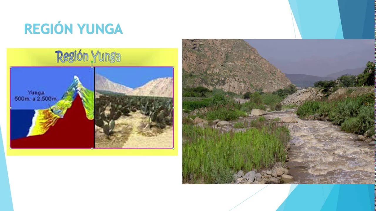 LAS REGIONES NATURALES DEL PERU CHALA O COSTA Y YUNGA 2° año de ...