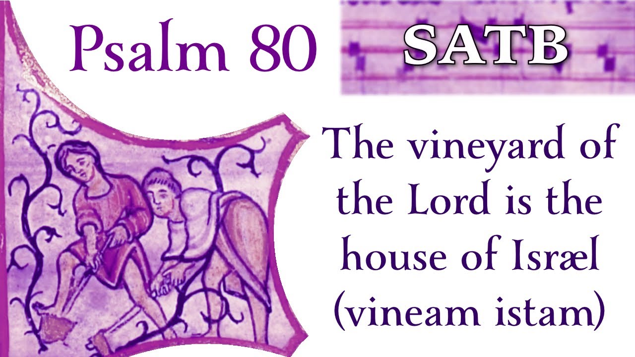 Psalm 80 • The vineyard of the Lord • SATB - YouTube