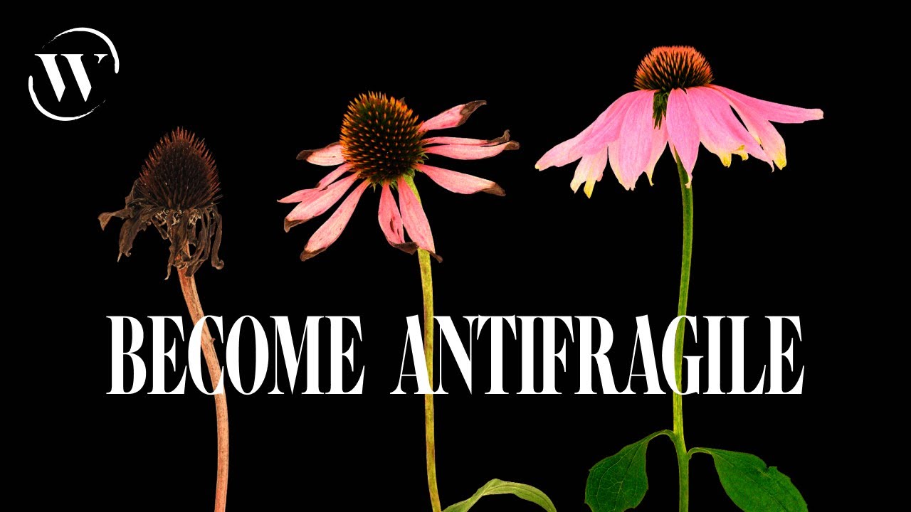 Antifragility explained by one of Harvard’s most popular teachers | Tal ...