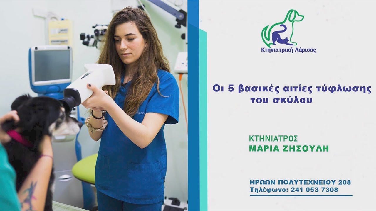 Οι 5 βασικές αιτίες τύφλωσης του σκύλου. Κτηνίατρος Λάρισα - YouTube