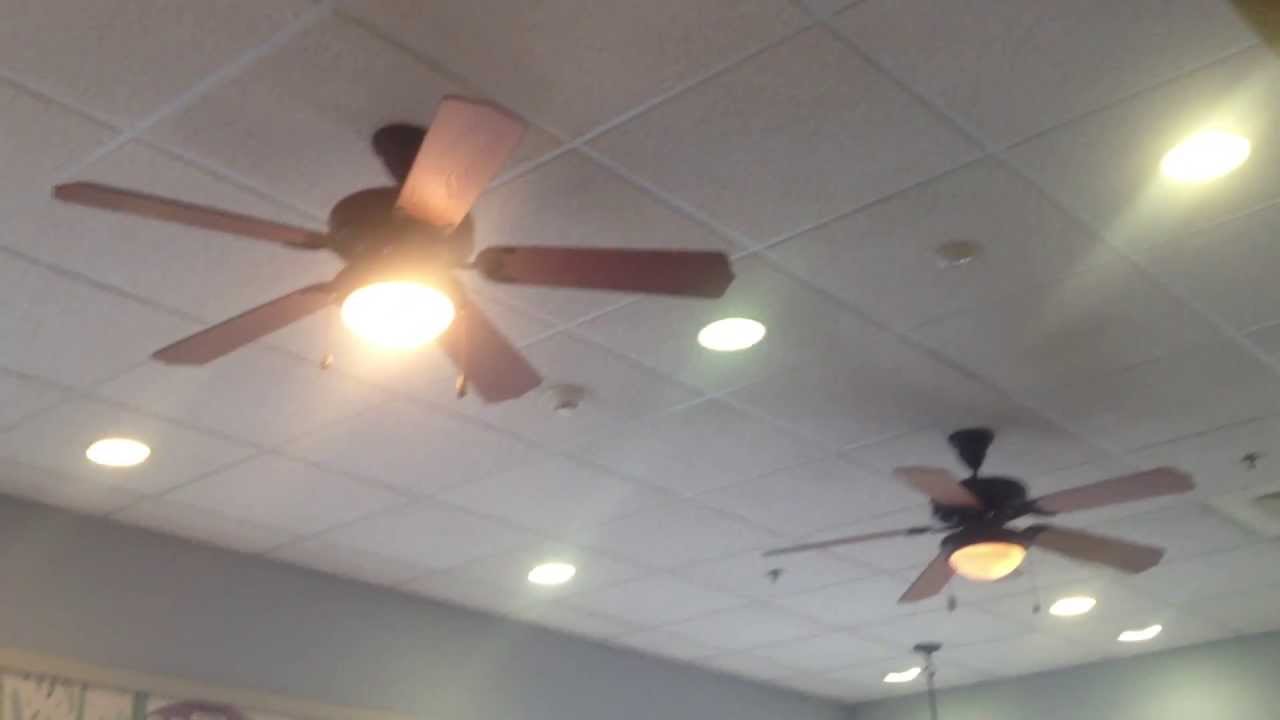 Emerson Builder's series Ceiling fans at ihop part 3 - YouTube