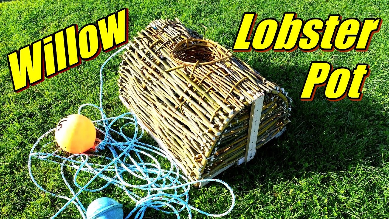 Building a Willow Wicker Pot for Lobster Crab - I Had An Idea So I Did ...