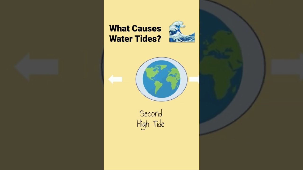 Spring And Neap Tides Powerpoint