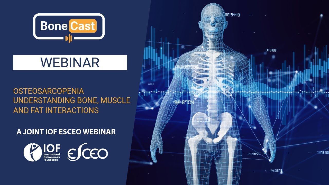 Osteosarcopenia Understanding bone, muscle and fat interactions A joint ...