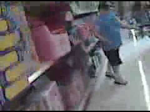 Random Fat Kid In Walmart - Pt. 2 - YouTube