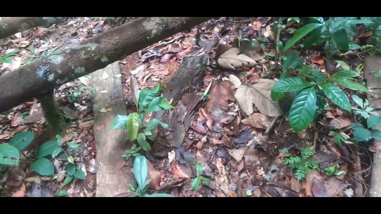 #Tirando #Abacaba #km41 Inscreva-se no canal - YouTube