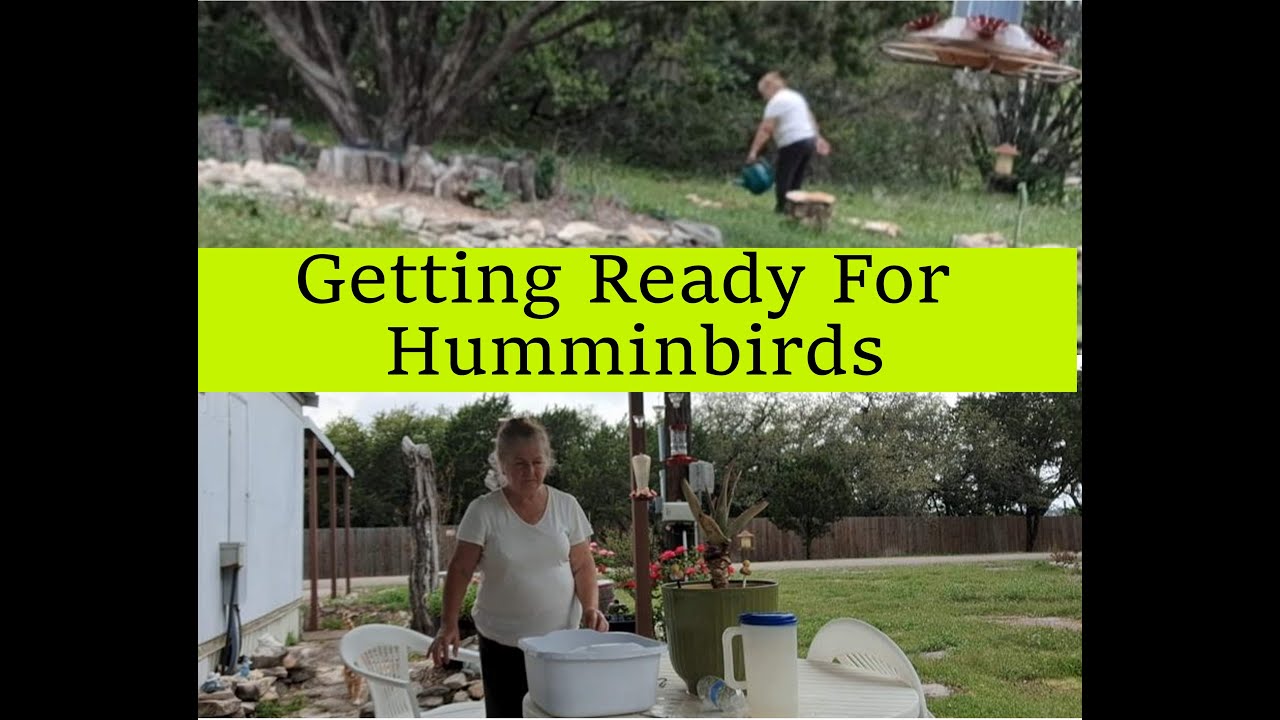 Watering With Home Made Fertilizer, And Getting Ready For Hummingbirds ...