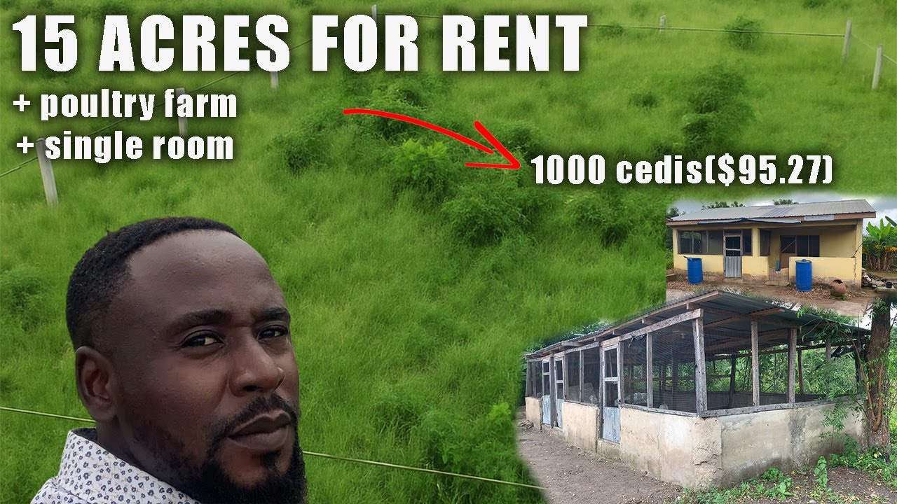 Farmland for rent in Ghana. + Poultry house and Single room for farmer ...