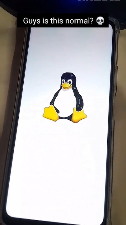 I got tux ☠️ #linux #kernal #android - YouTube