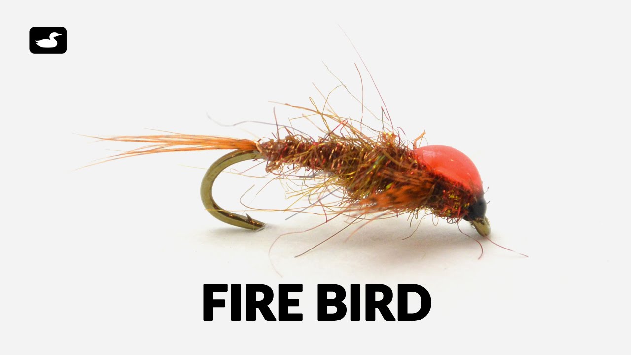 Fly Tying Tutorial: Fire Bird - YouTube
