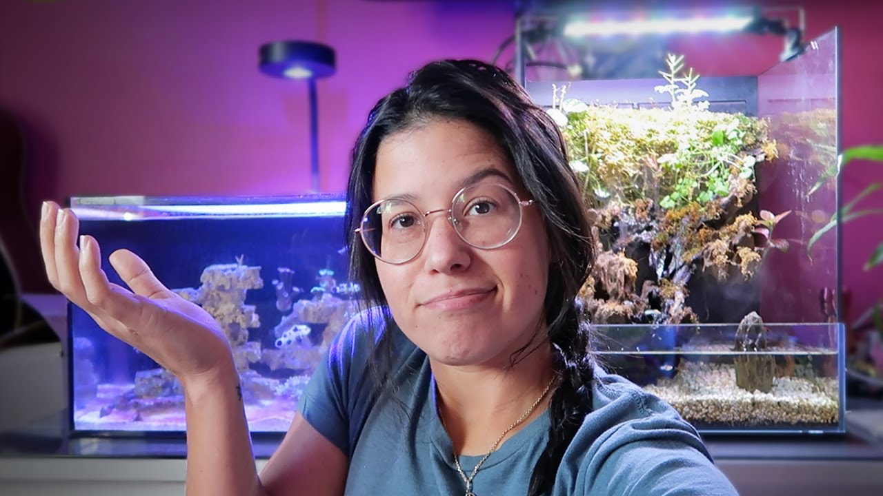 My Aquarium Is Officially FOR SALE - YouTube