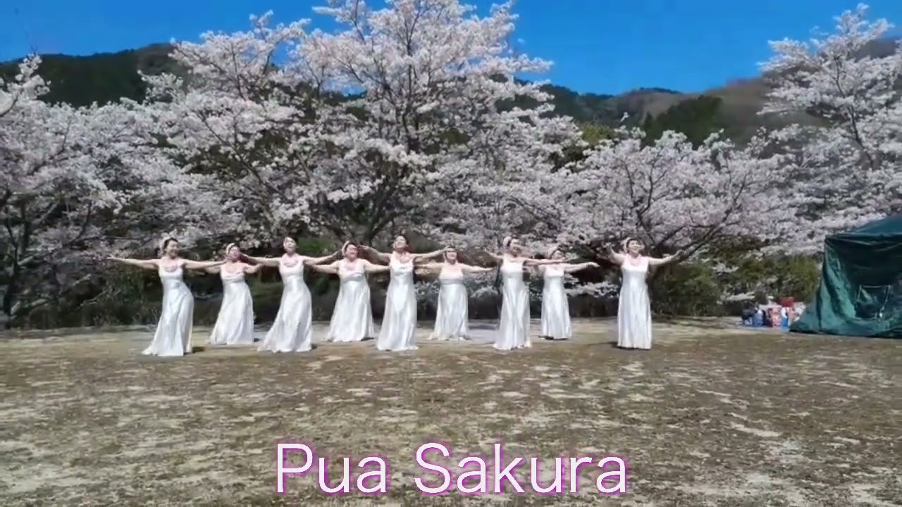 『Pua sakura』『Ka Pua ʻAno Lani』振り付けオリジナルby 渡部孝子 - YouTube