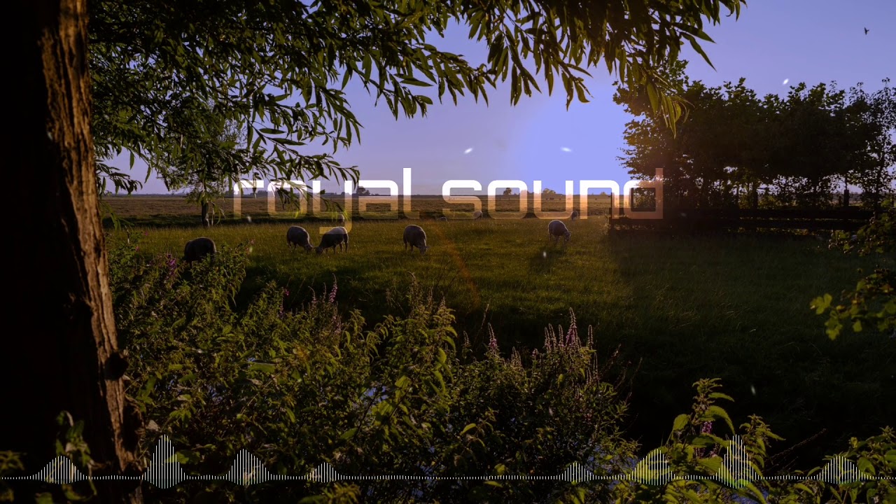 Saturday Groove - John Deley (Royalty Free Music) - YouTube