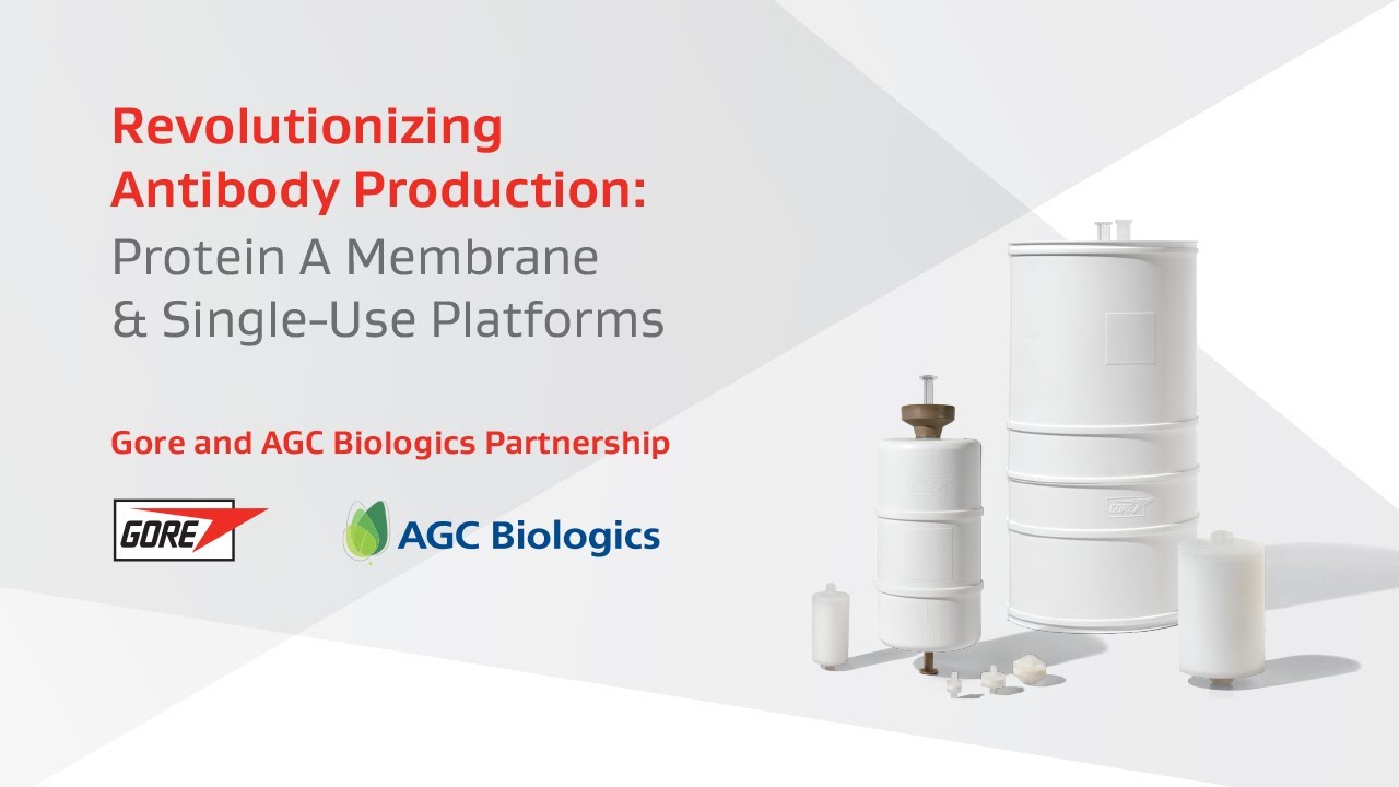 Revolutionizing Antibody Production: Protein A Membrane & Single-Use ...