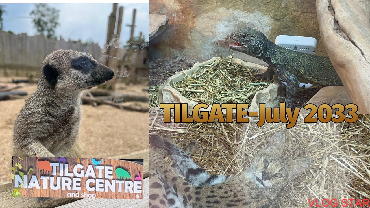 Tilgate nature centre-July 2023 - YouTube