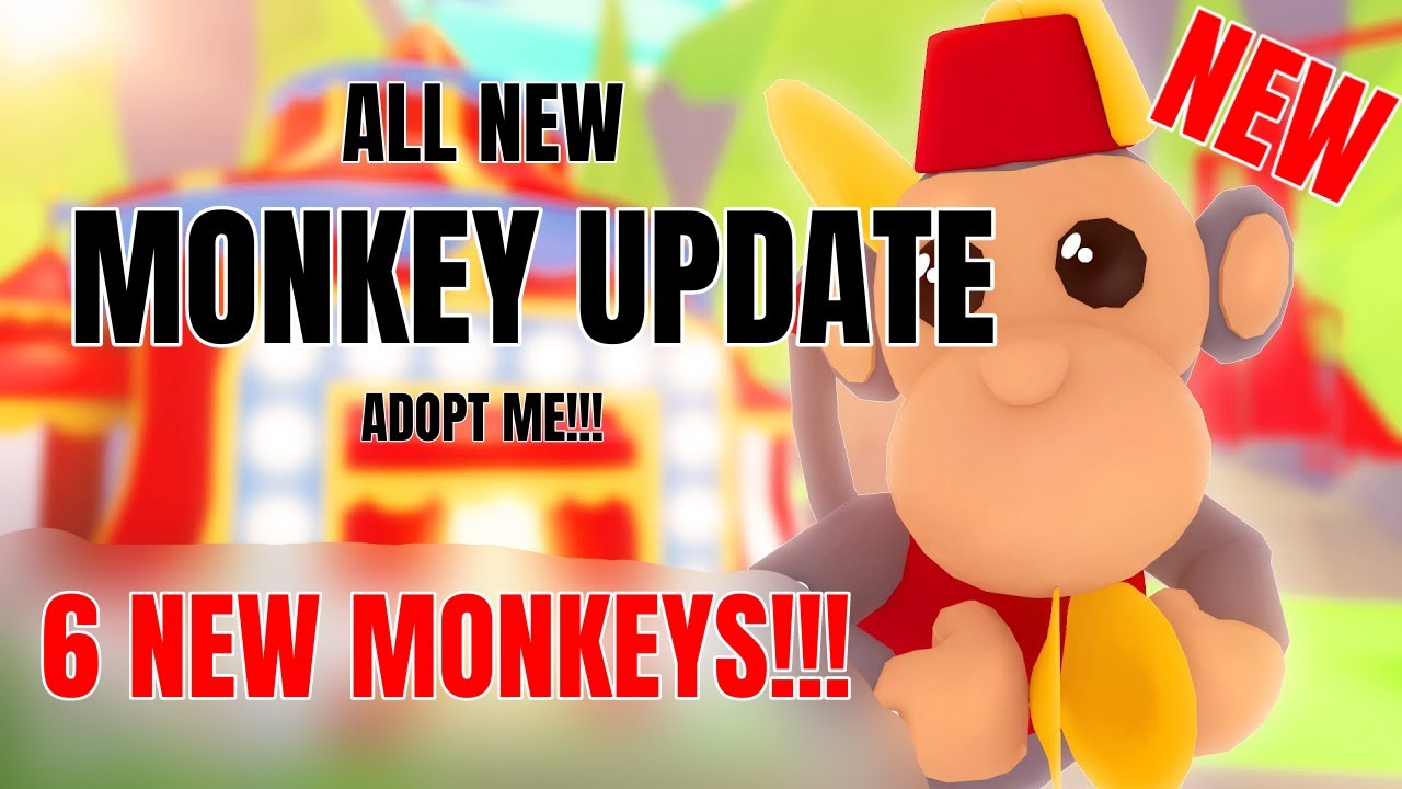 MONKEY UPDATE!!! - YouTube