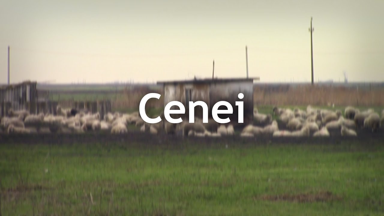 O scurtă poveste despre comuna Cenei - YouTube