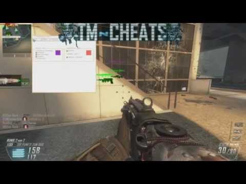 Call of Duty Black Ops 2 TM Cheats - YouTube