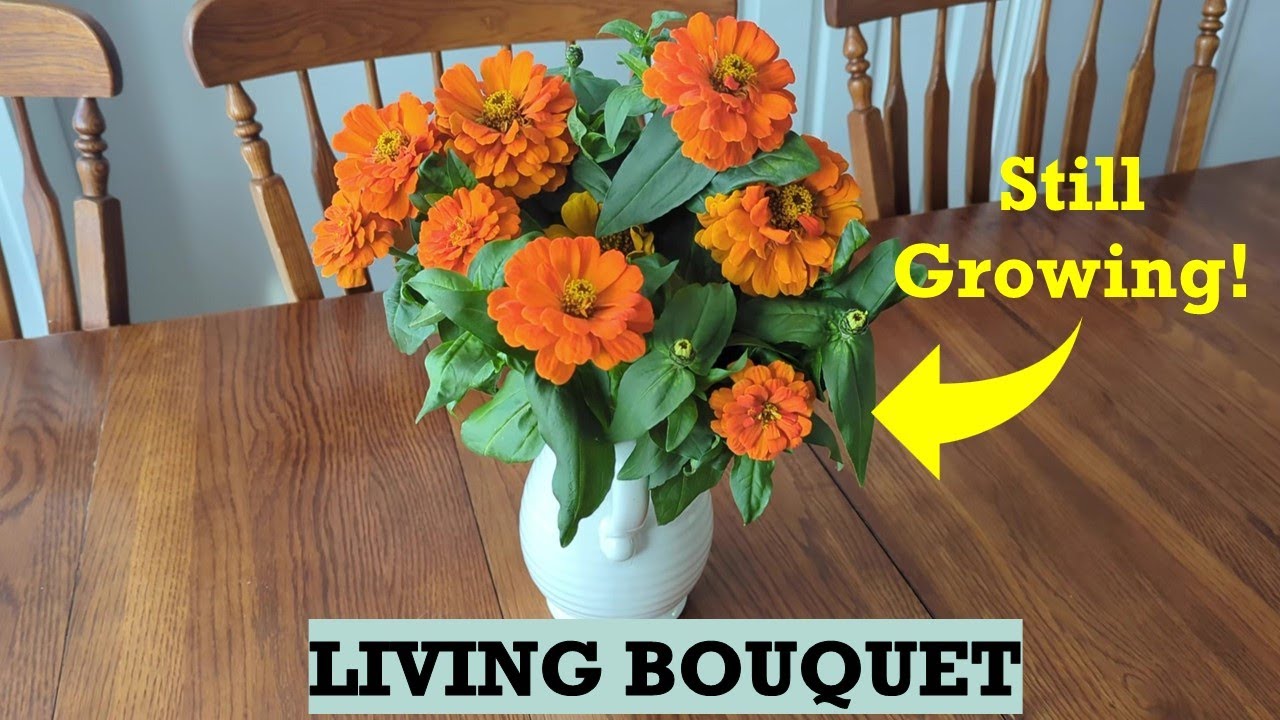 Growing a Living Flower Bouquet - YouTube
