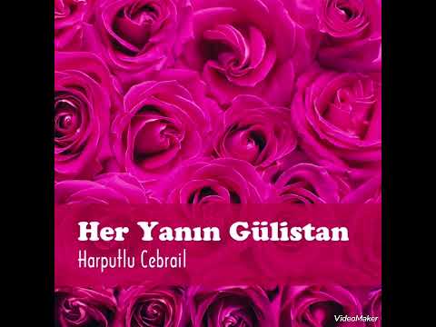 Harputlu Cebrail Hayranın Olayım