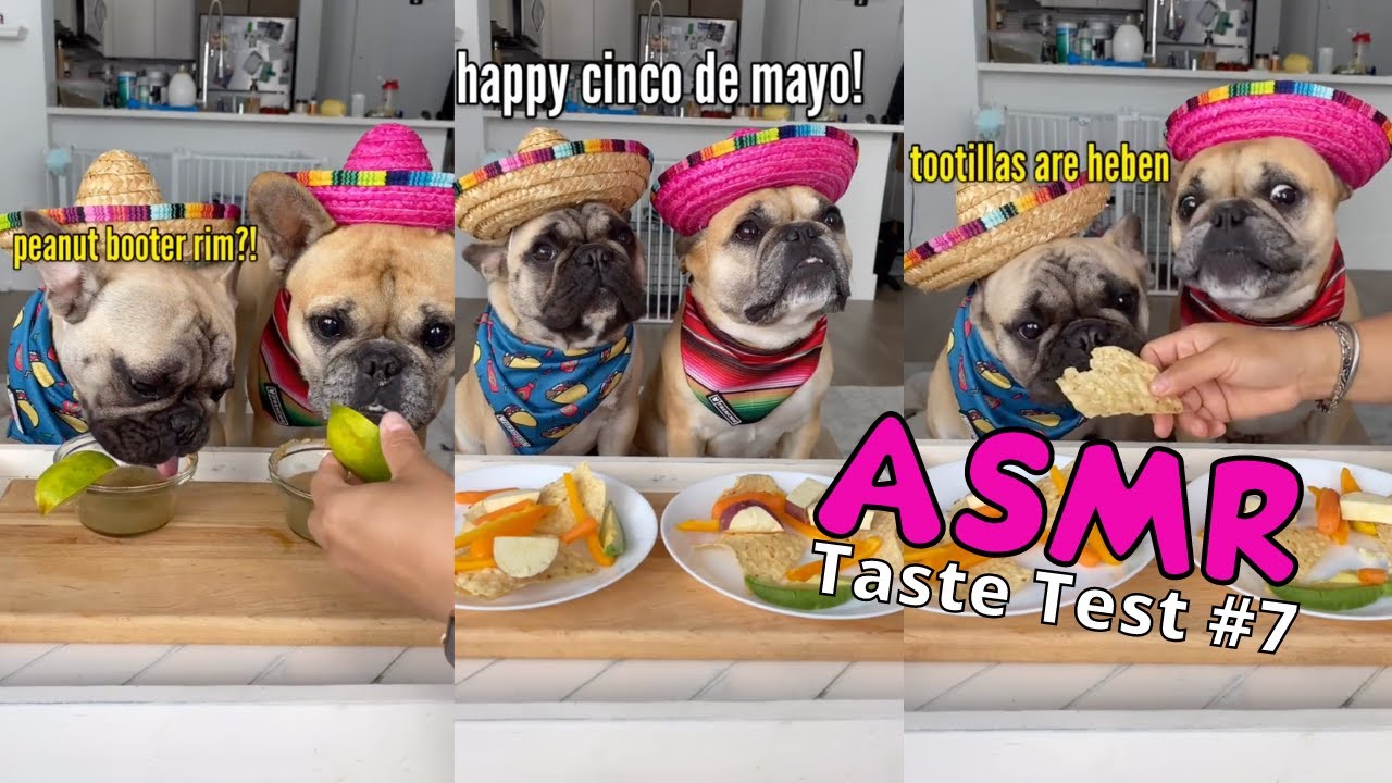Cinco De Mayo Taste Test! | MAJOR ASMR!! - YouTube