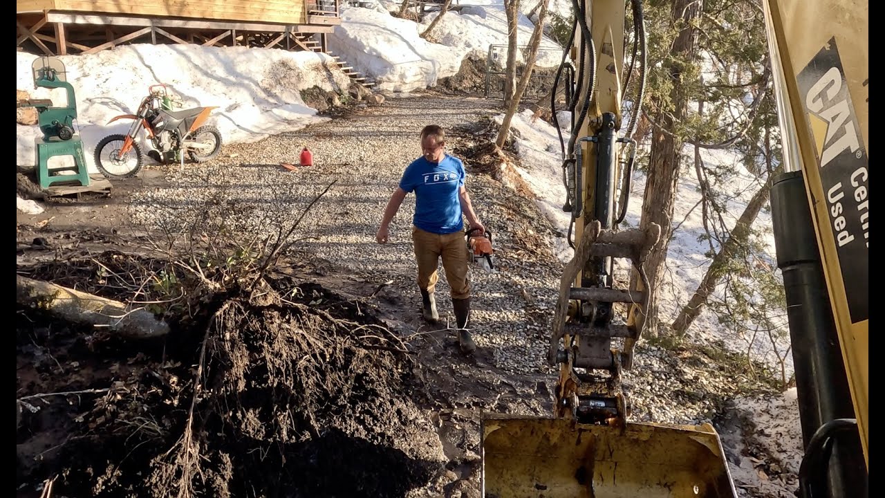 We FOUND the SOURCE that brought down this tree and FIXED IT! - YouTube