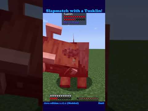 Minecraft: Slapmatch with a Tusklin! Different armors tested! - YouTube