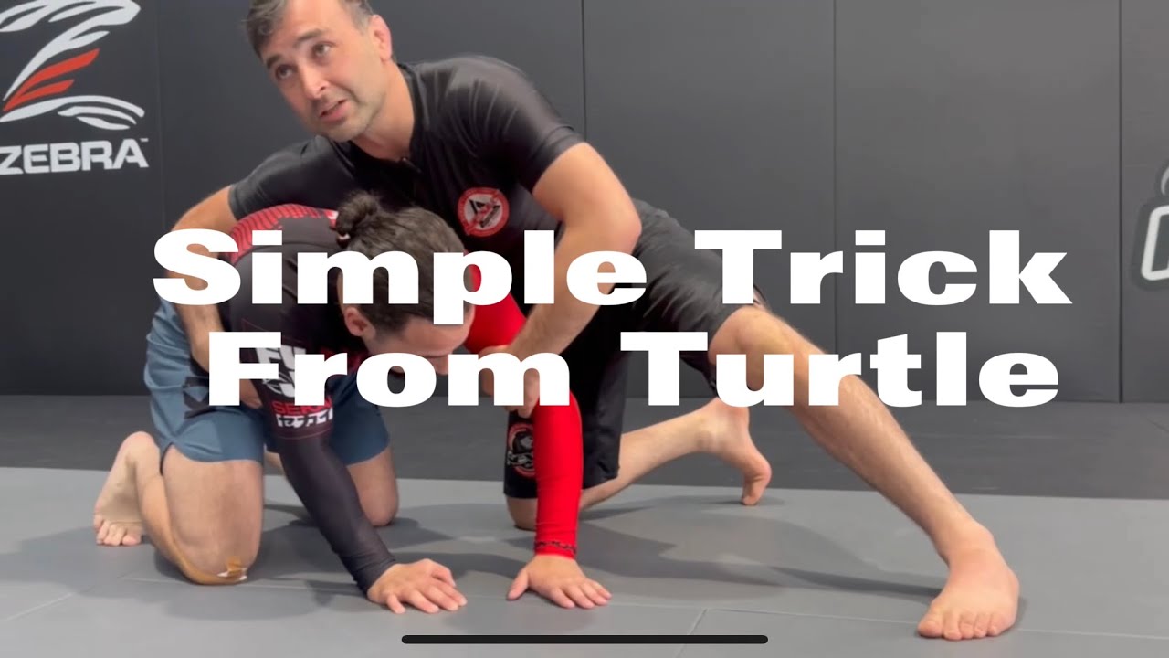 Simple trick from the turtle position. - YouTube