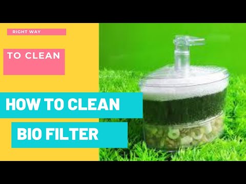 How to CLEAN BIO filter,right way to clean bio filter #Aquafishpoint ...