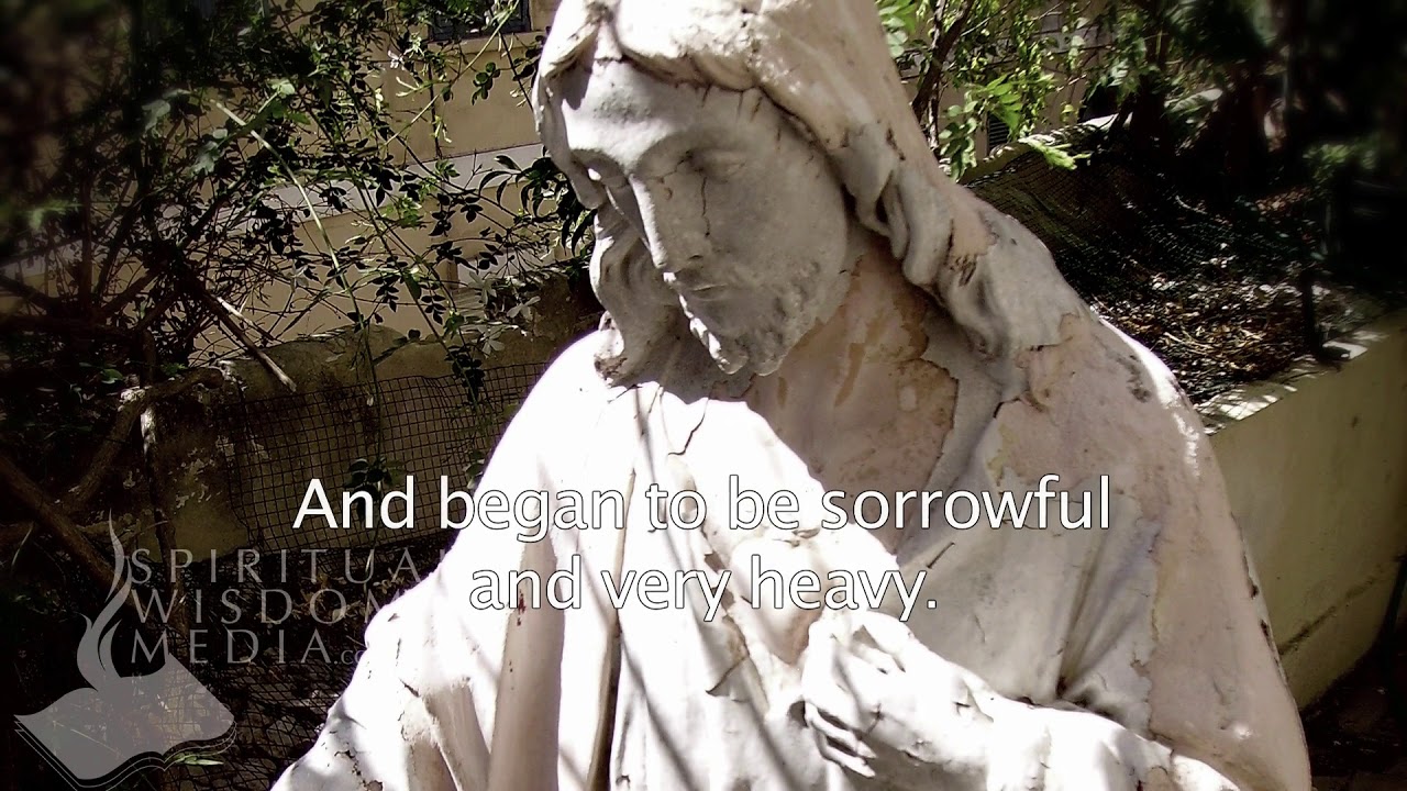 Matthew 26:37 - And he took with him Peter and the two sons of Zebedee ...