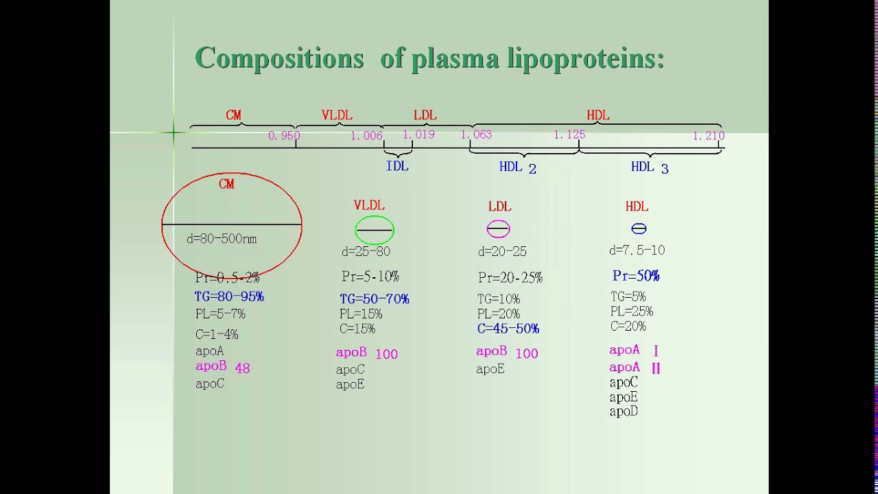 Lecture of Dr Amir Abbas on topic Plasma lipoproteins, structure ...