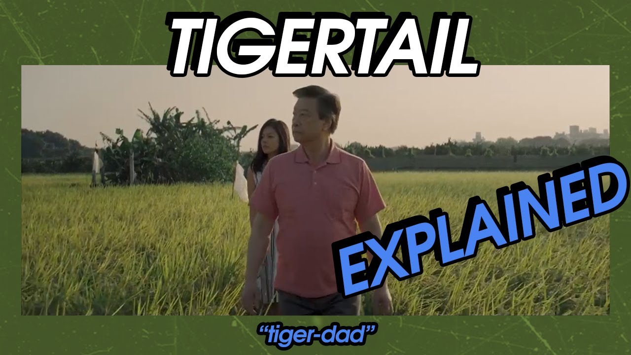 Asian guy doesn't like TIGERTAIL (2020)?!? - Netflix Movie EXPLAINED ...